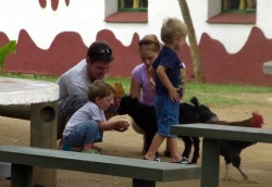 Flag Animal Farm - Near Ballito - NowTHINK!AboutIt